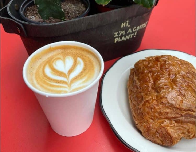 15 Best Coffee Shops in NYC 2023 (Location & Reviews) - sNICE Café