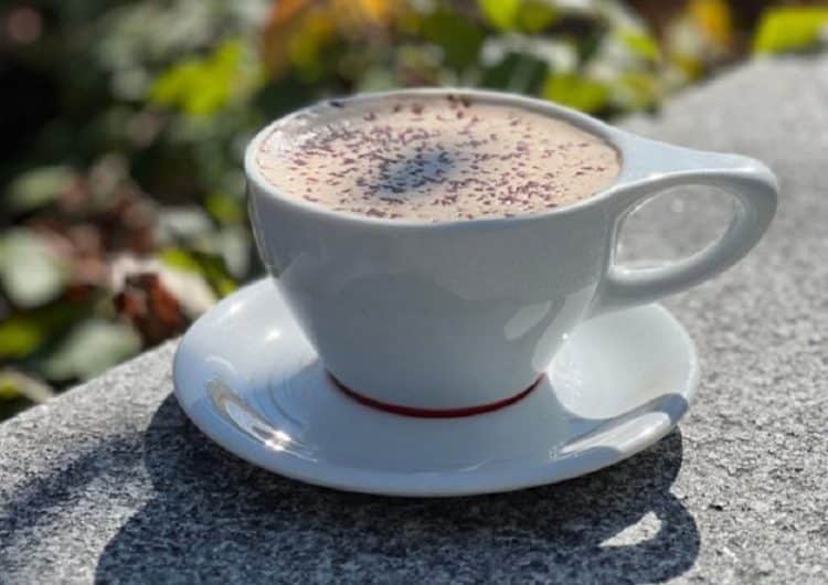 15 Best Coffee Shops in NYC 2023 (Location & Reviews) - sNICE Café