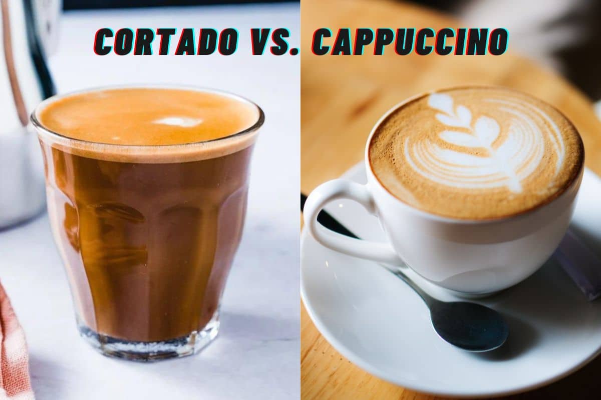 Cortado Vs Cappuccino: Difference Between Origin, Flavor, Bitterness ...