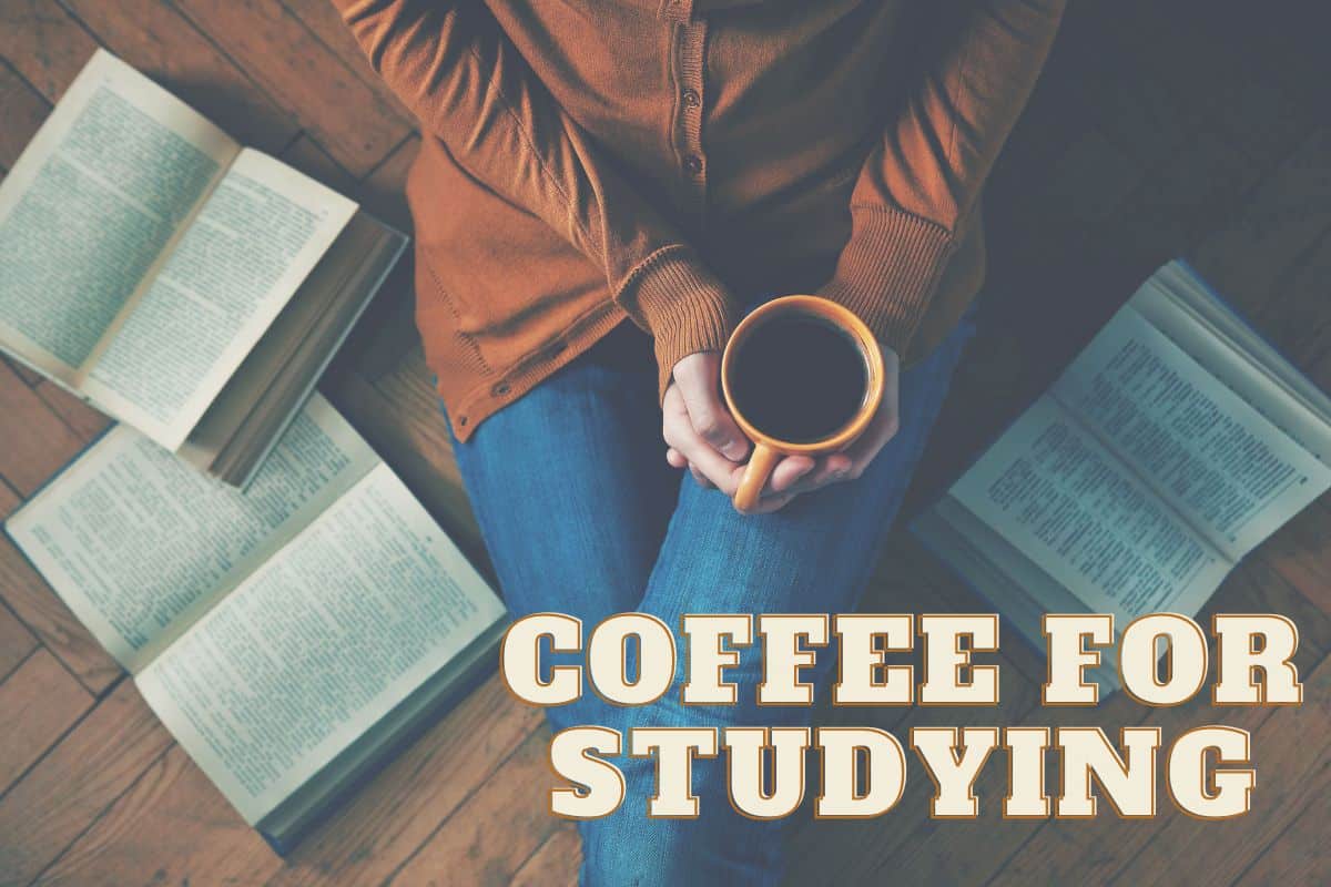 Coffee for Studying: Important Things You Need to Know! - sNICE Café